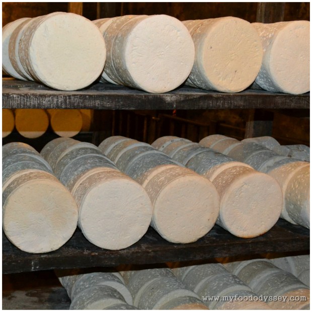 Roquefort cheese – mouldy bread comes good | My Food Odyssey