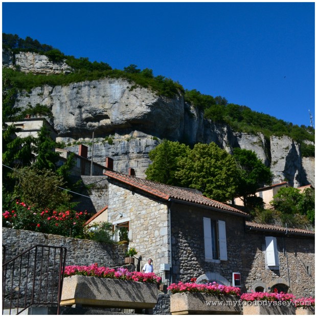 Roquefort cheese – mouldy bread comes good | My Food Odyssey