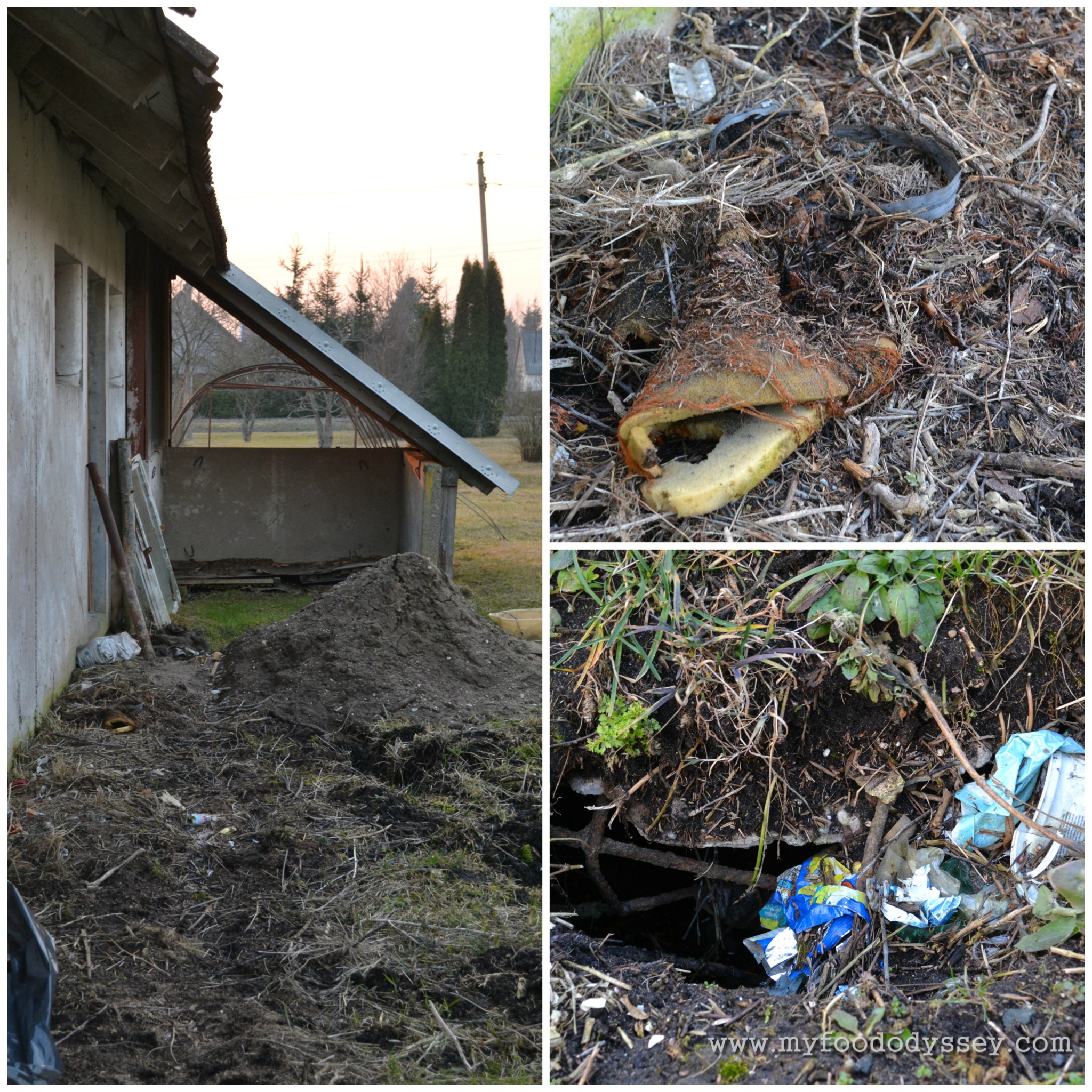 Chicken Run | My Food Odyssey