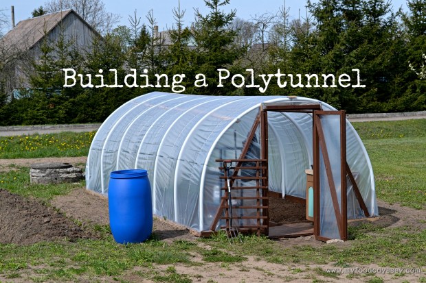 Building a Polytunnel | My Food Odyssey