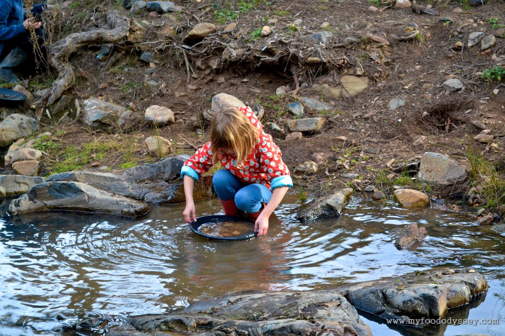 Relaxing in the Australian Outback | My Food Odyssey