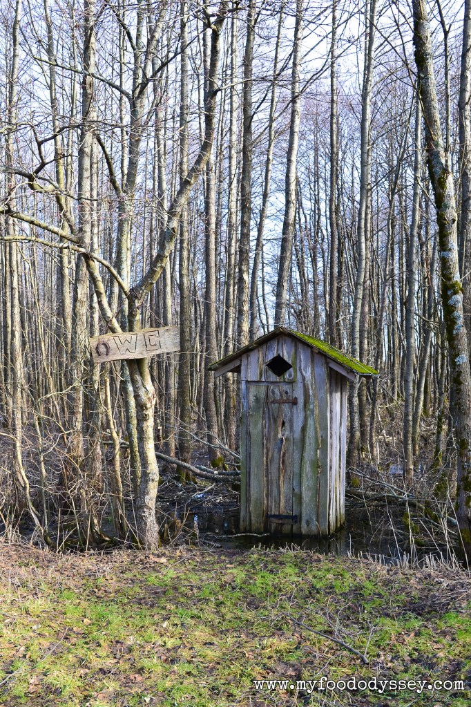 Life in the Woods | My Food Odyssey