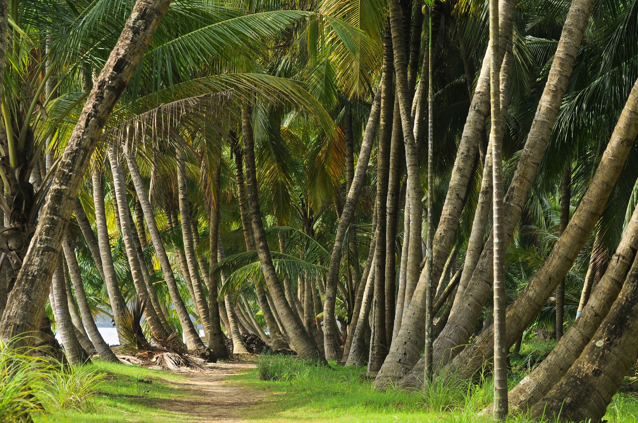 5 Reasons To Visit Kerala, India | My Food Odyssey