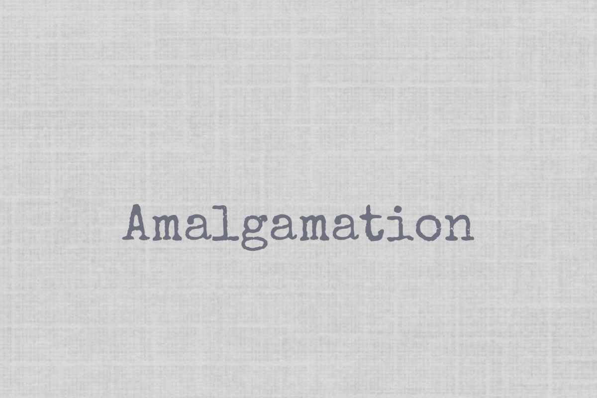 Amalgamation | My Food Odyssey